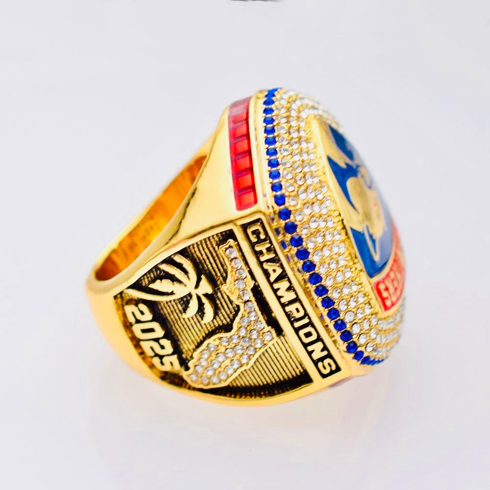 2025 New Florida Panthers Stanley Cup Championship Ring W box, Barkov ...