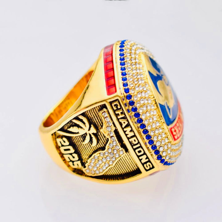 2025 New Florida Panthers Stanley Cup Championship Ring W box, Barkov ...